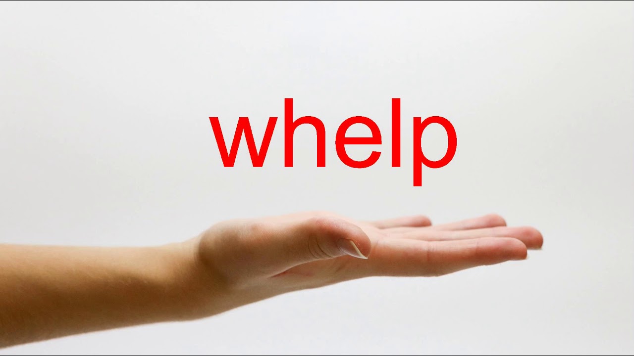 How to Pronounce whelp - American English - YouTube