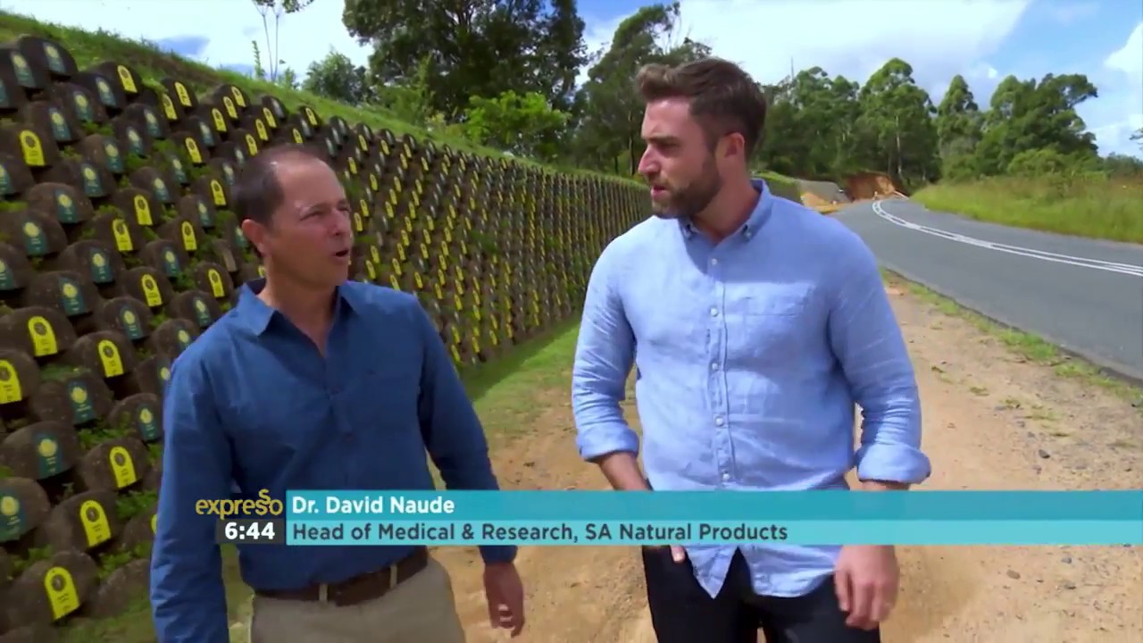 The Power of THRESHHold MSM - YouTube