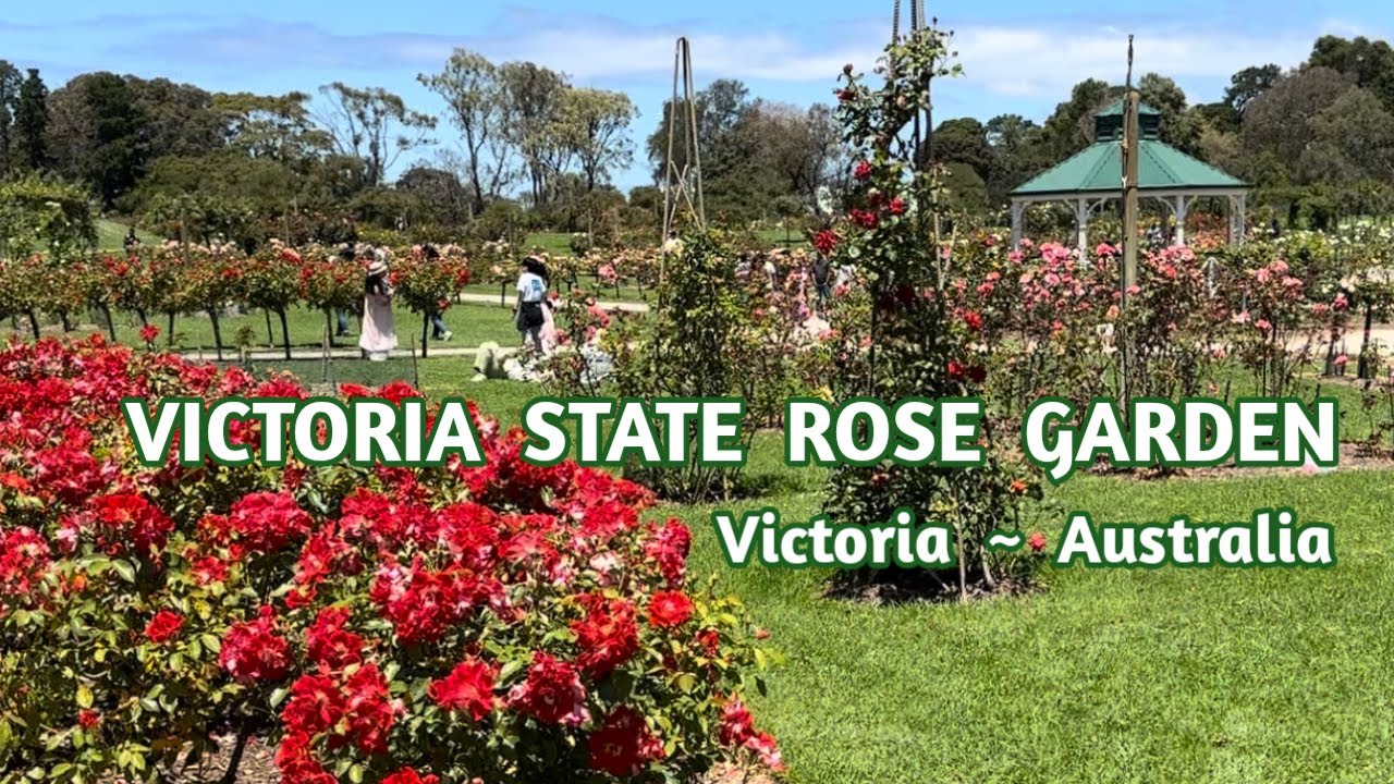 Victoria State Rose Garden, Australia - Rose Garden - Werribee Park ...