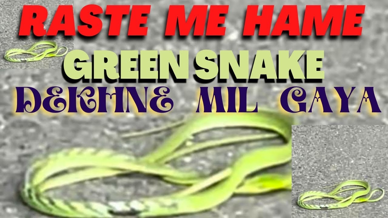 BARUMAL TEMPLE TO WILSON HILL - YouTube