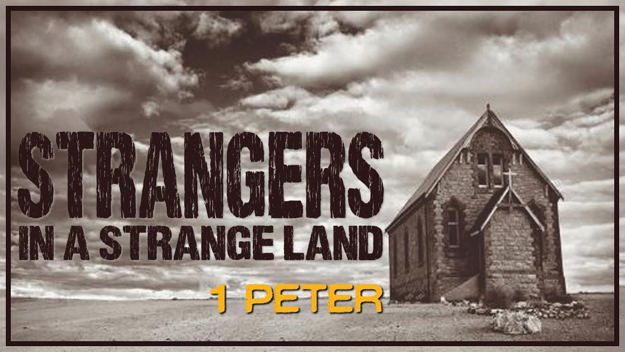 Sunday, August 6th AM Live Stream - YouTube