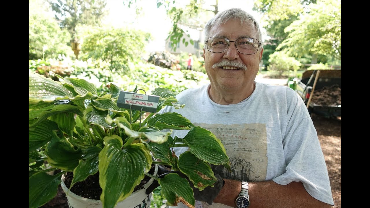 Gardener extraordinaire Hollenbaugh honored with his own hosta - YouTube