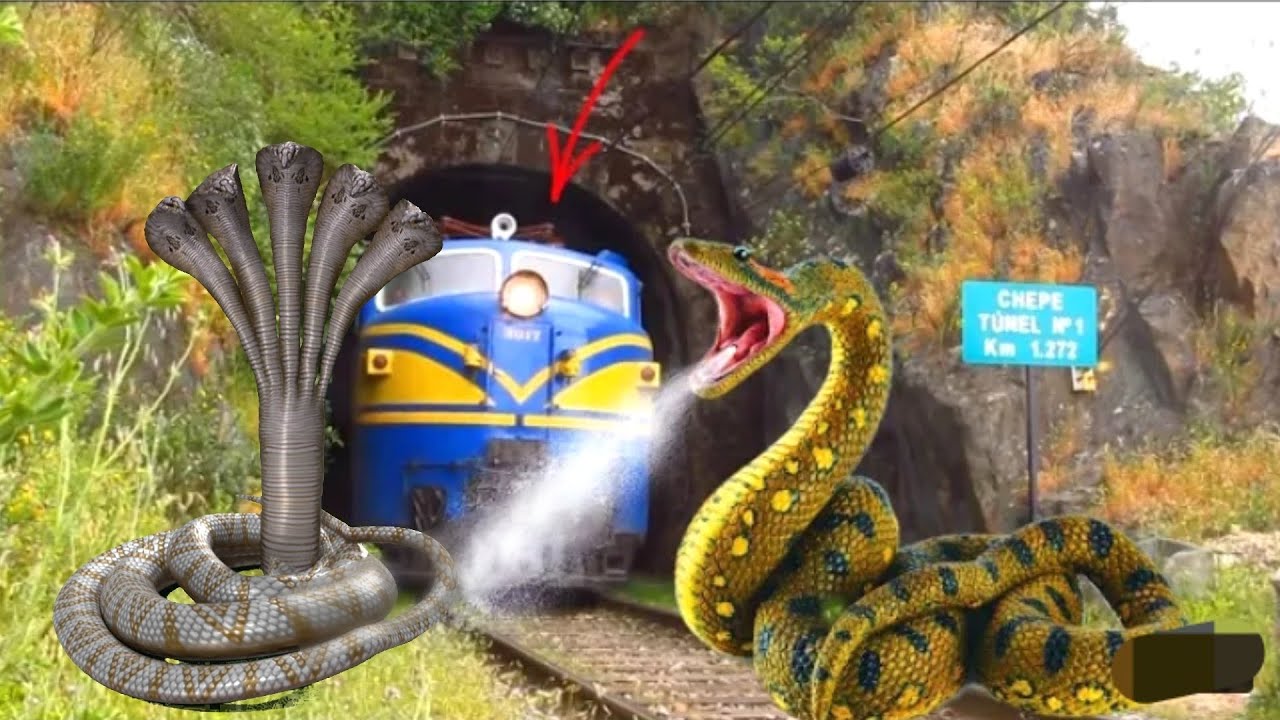 Five Head Snake and Anaconda Stops The Train To Save Baby And Escapes ...