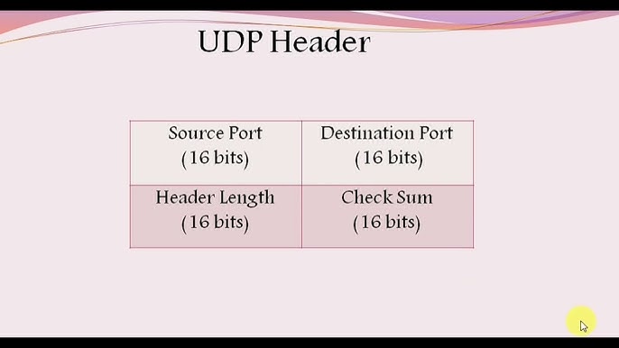 Udp Header