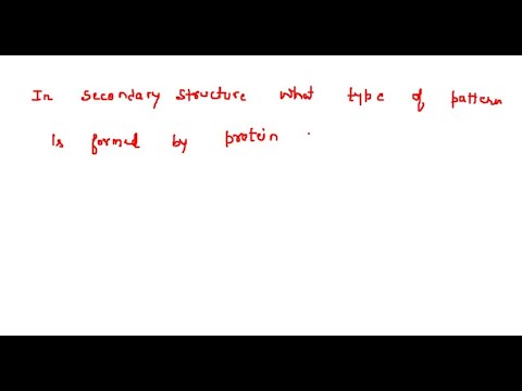In secondary structures, what types of patterns do the segments of ...