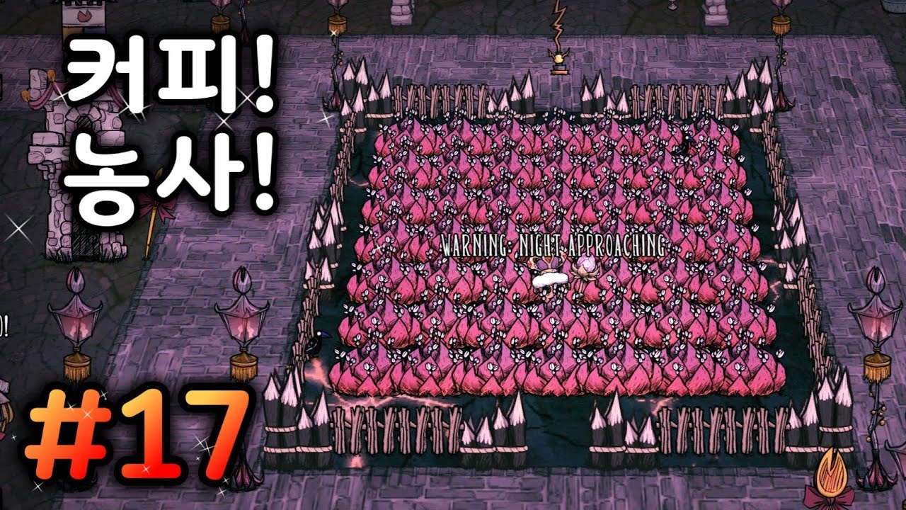 🍇#17 햄릿에도 커피농사를시작한 단포도 DS Hamlet WX78🍇 - YouTube