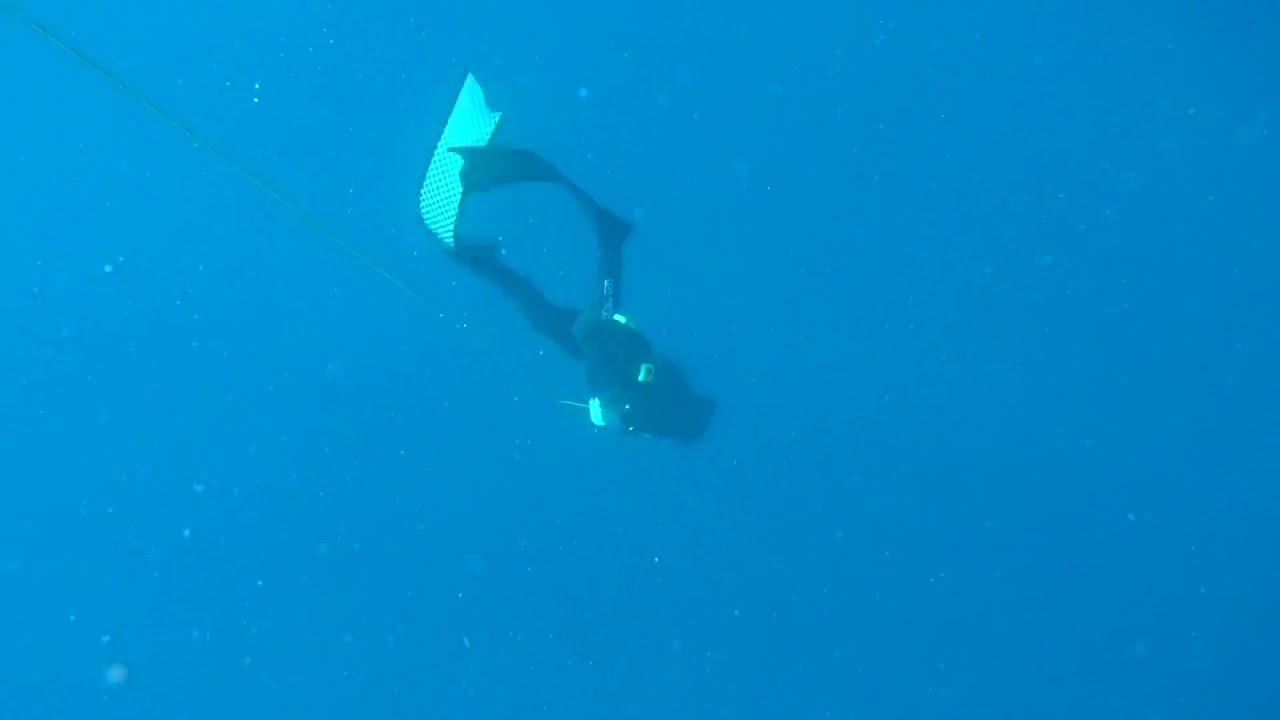 Line Diving in Miami - Freedive - YouTube