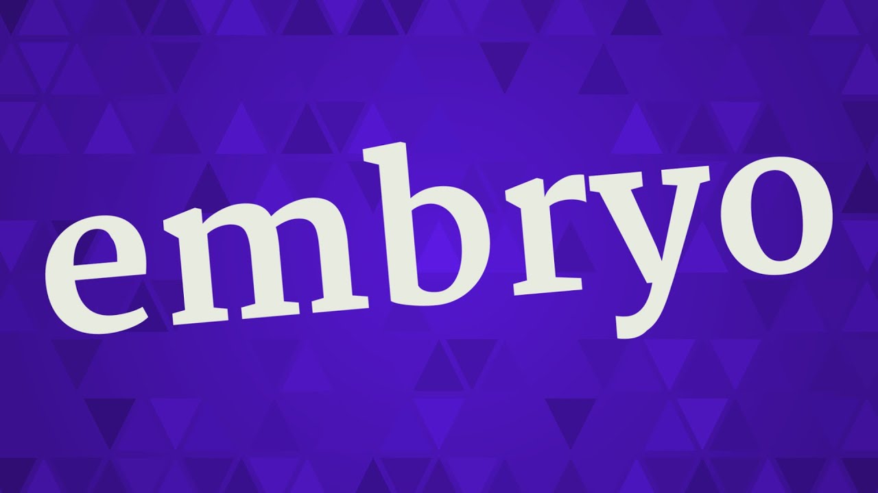 EMBRYO pronunciation • How to pronounce EMBRYO - YouTube