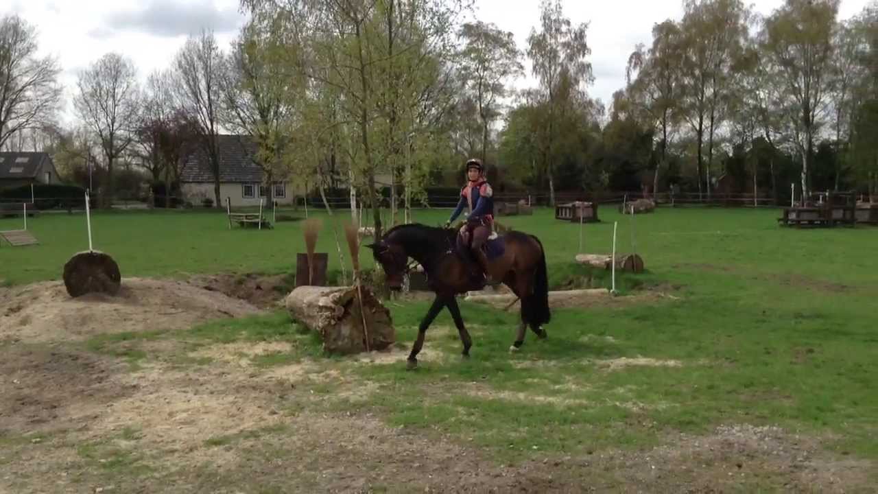 Tim Lips Eventing Training new terrain Galder / Breda. Anouk van Gerven ...