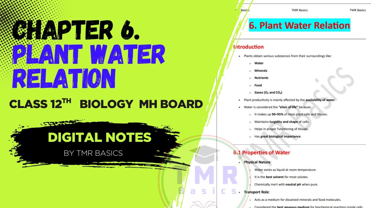6. Plant Water Relation || Class 12th Biology || Digital notes || MH ...