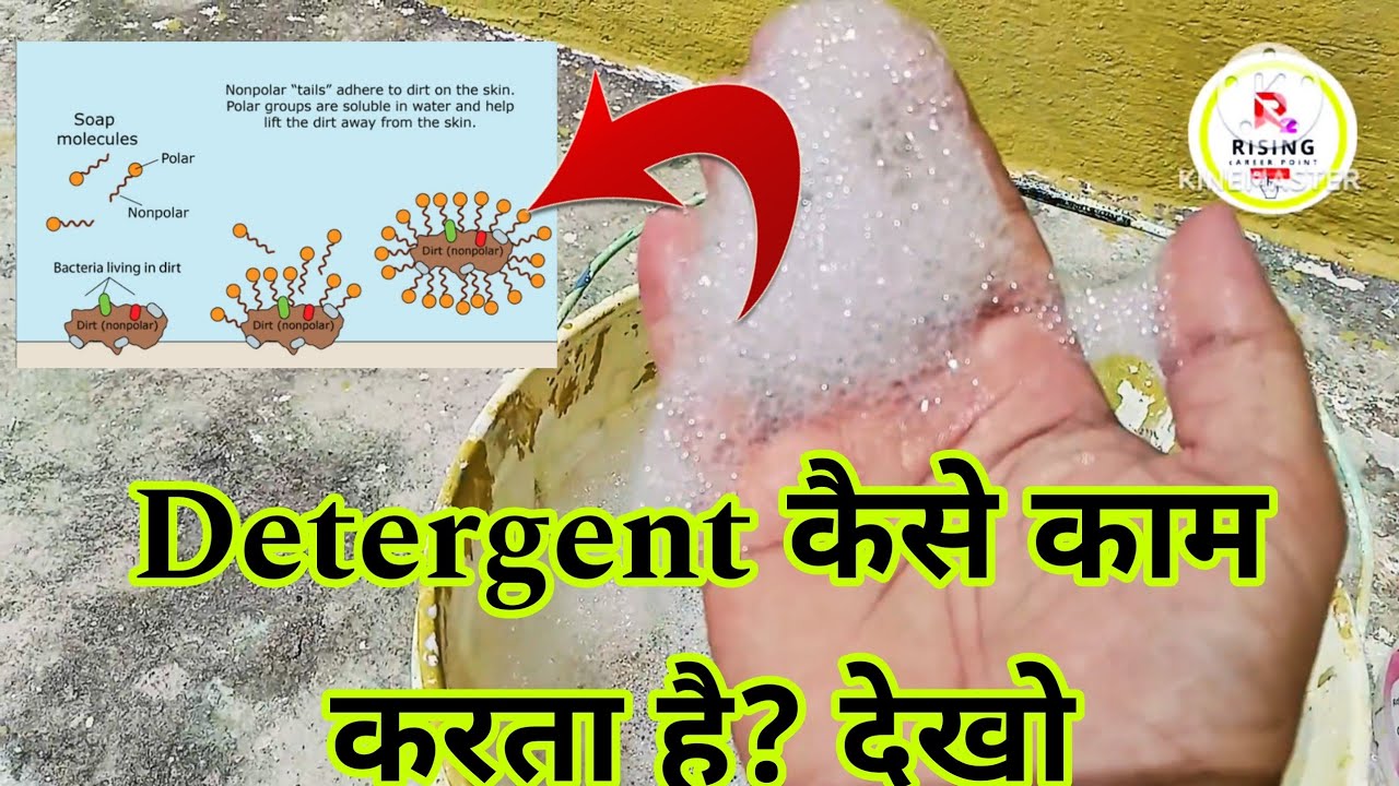 How detergents works #scienceexperiment - YouTube