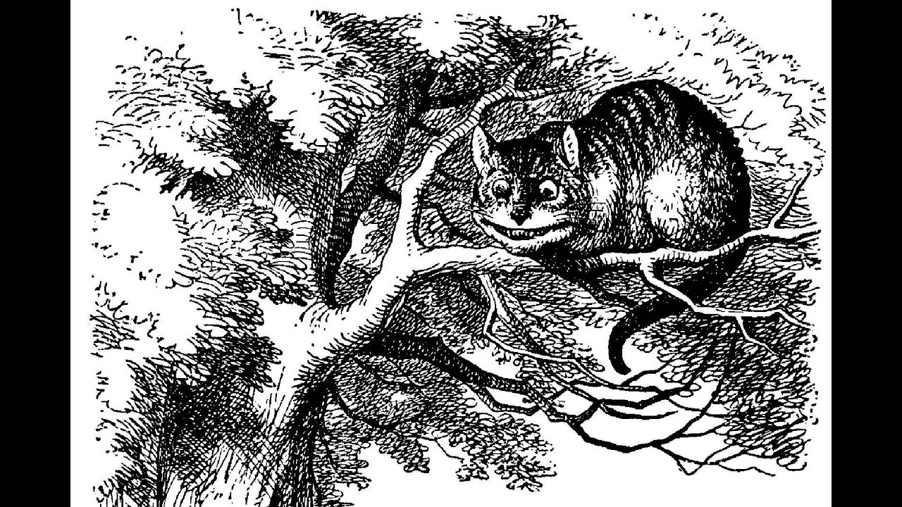 Alice's Adventures in Wonderland Audio Book Chapter 5 - YouTube