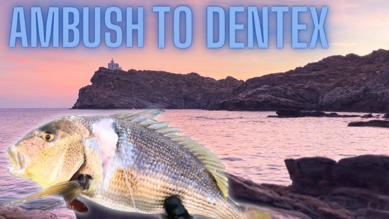 Hunting the Legendary Dentex: Epic Spearfishing in Paros Greece! - YouTube