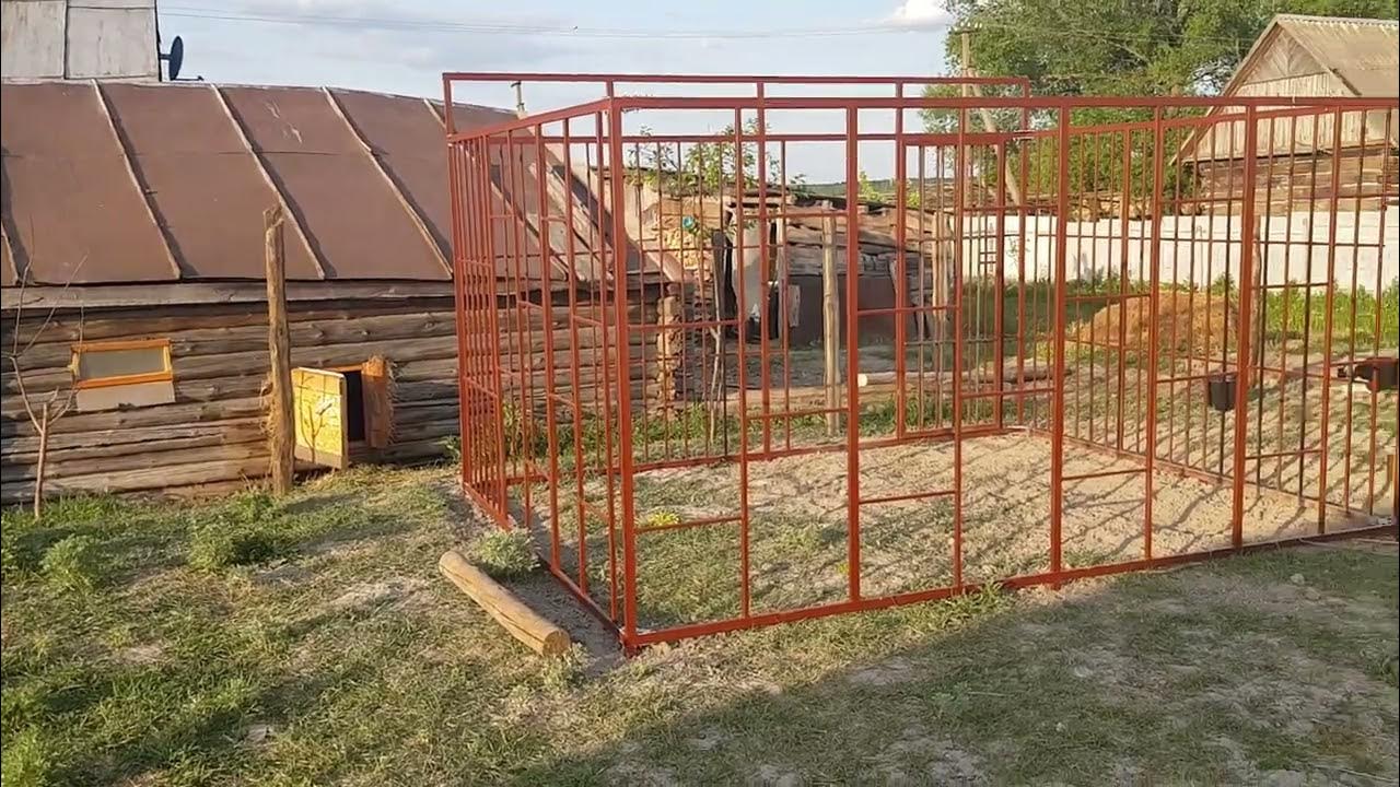 Выгул для коз и кур. - YouTube