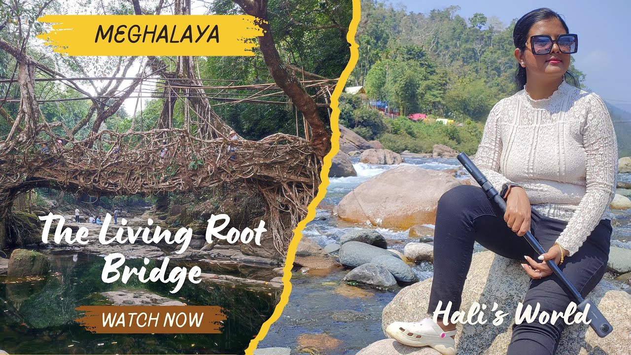 The Living Root Bridge | Dawki River Boating | Shnongpdeng | Meghalaya ...
