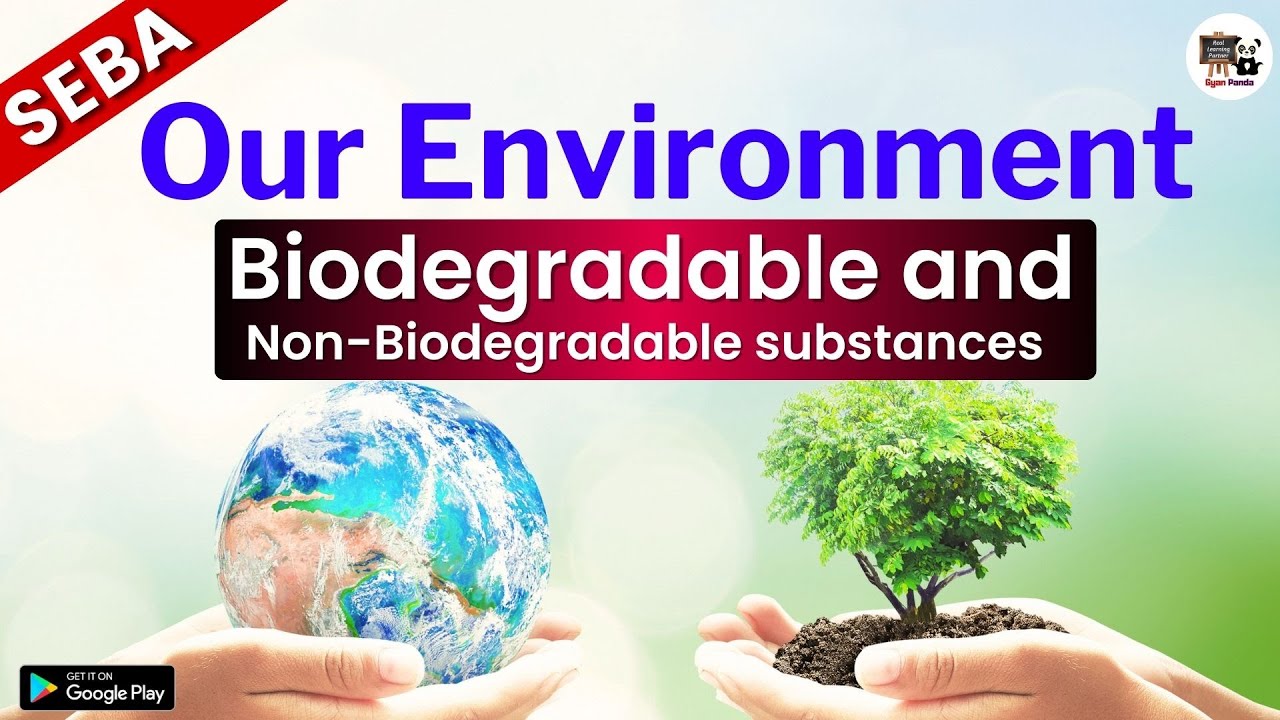 Class 10 Science - Our Environment - Biodegradable and Non ...