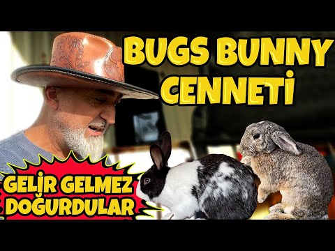 Adana dan gelen @cumaliozhayta hediyeleri çifitliğe renk kattı / Her yer elvan yumurtası kaynıyor