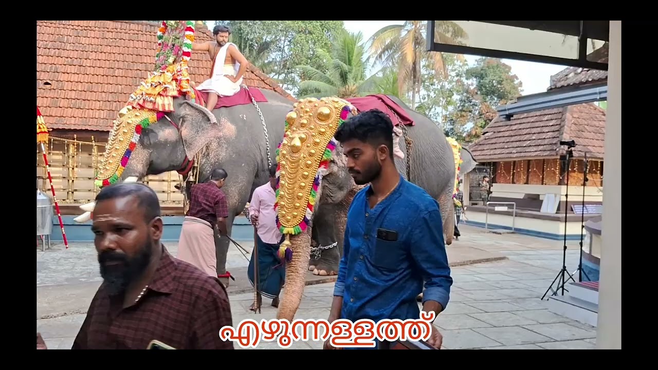 Sree Narasimha Swamy Temple, Manganam, Kottayam, 7th day Utsavam - YouTube