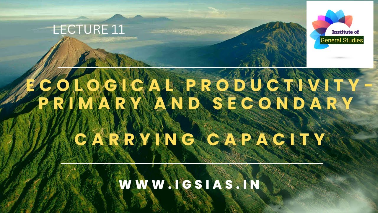 11 Ecological productivity- Primary and secondary & Carrying Capacity ...