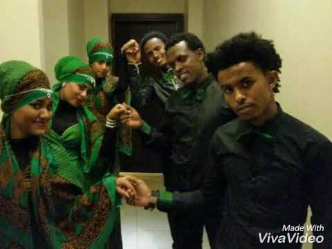 eritrean saho music - YouTube