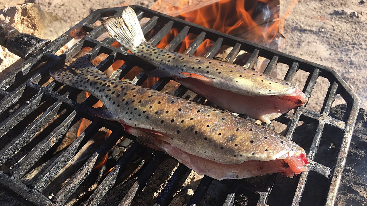 Catch n' Cook Cutthroat Trout! (Fire Roasted) - YouTube