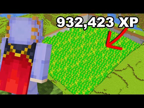 Neden Minecraft'ta Tüm Oyuncuların XP'sini Çaldım