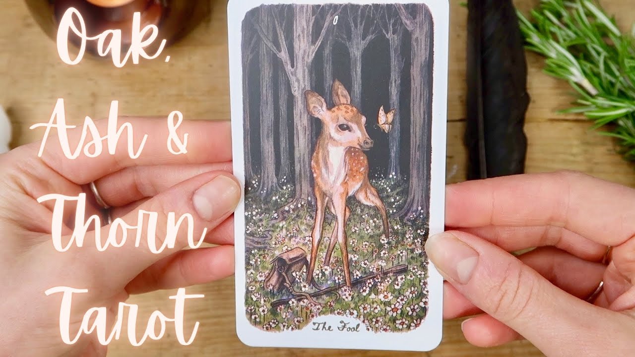 OAK ASH & THORN TAROT BY STEPHANIE BURROWS | WALKTHROUGH, FIRST ...