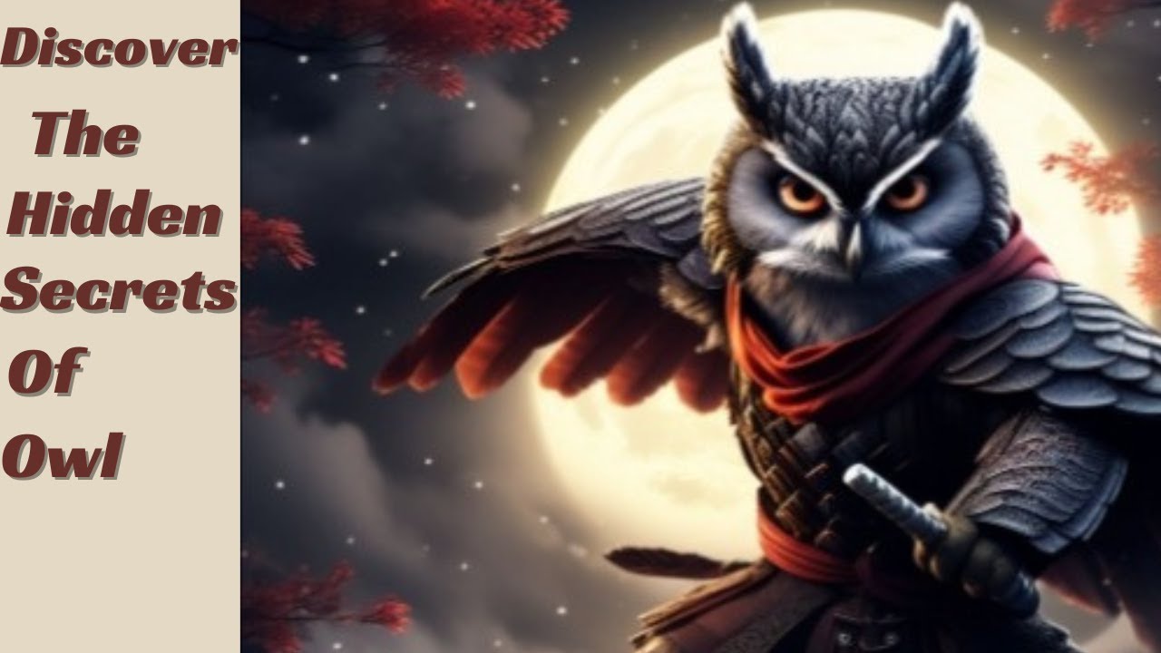 Unveiling the Enigmatic World of Owls: Secrets, Nightly Hunts, and ...