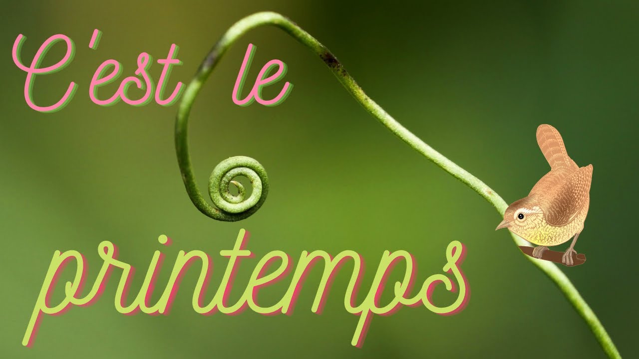 Poésie : c'est le printemps - YouTube