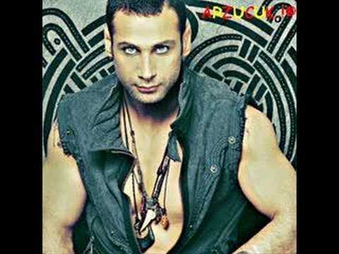 Dogus 2008 Sanada gelir ask