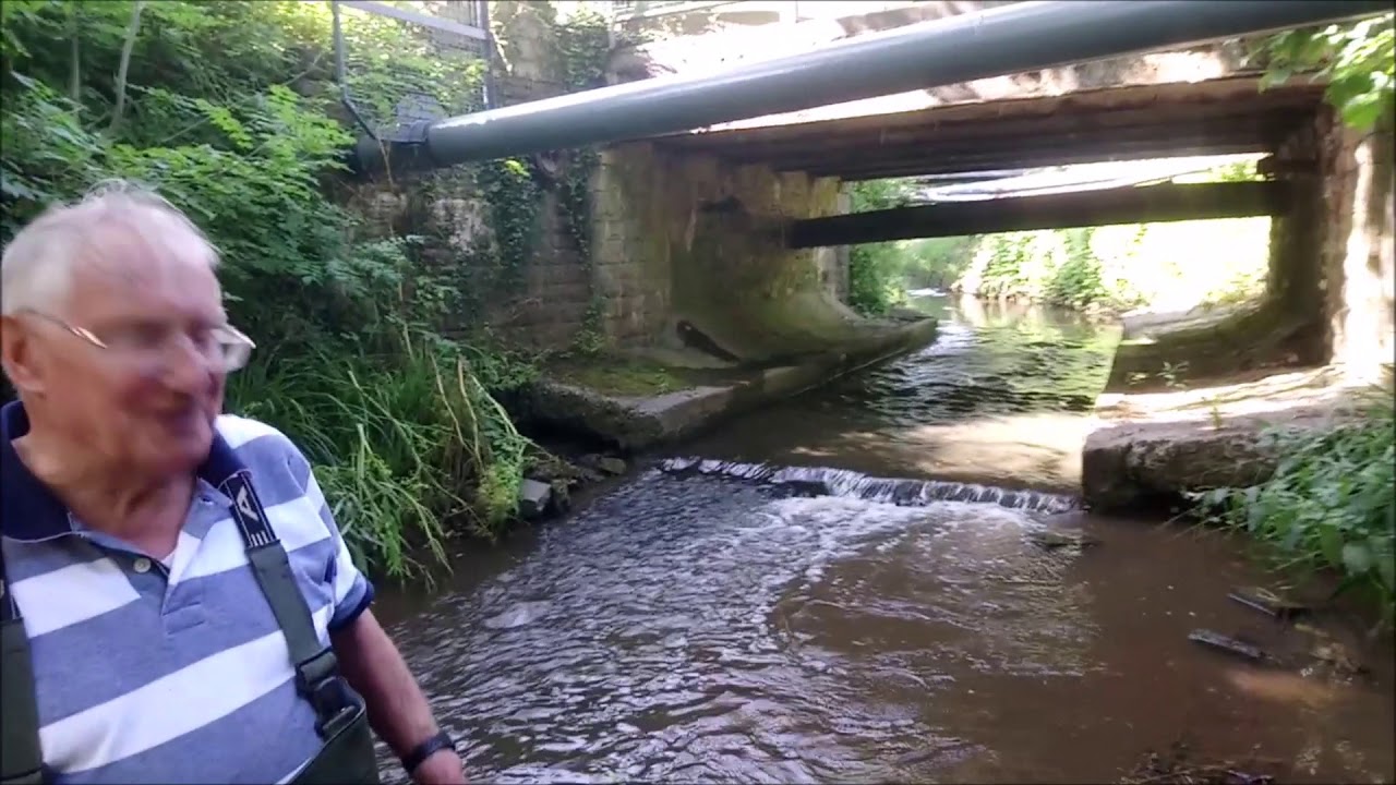 Cadoxton River Survey 31 July 2019 - YouTube