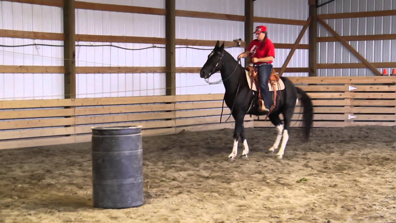 Mountainview Walking Horse Ranch Promo - YouTube