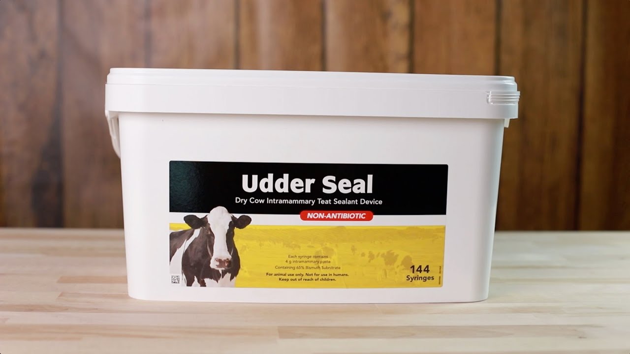 Udder Seal: Your Go-To Solution for Udder Health During the Dry Period ...