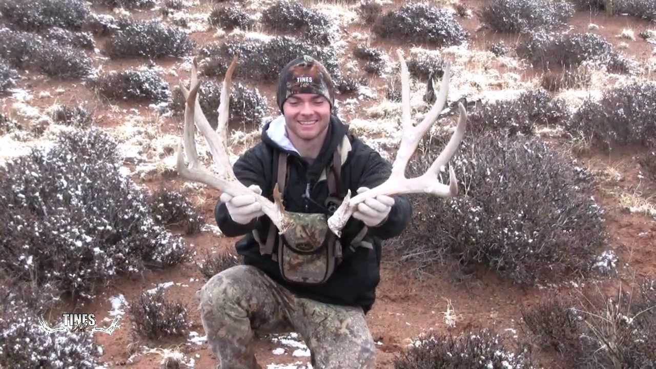Tines Up Tuesday: Episode 2, Shed Antler Hunting for "Desert Muleys ...