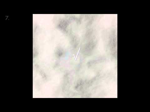 Johnny Rain - P.U.S.S.Y.
