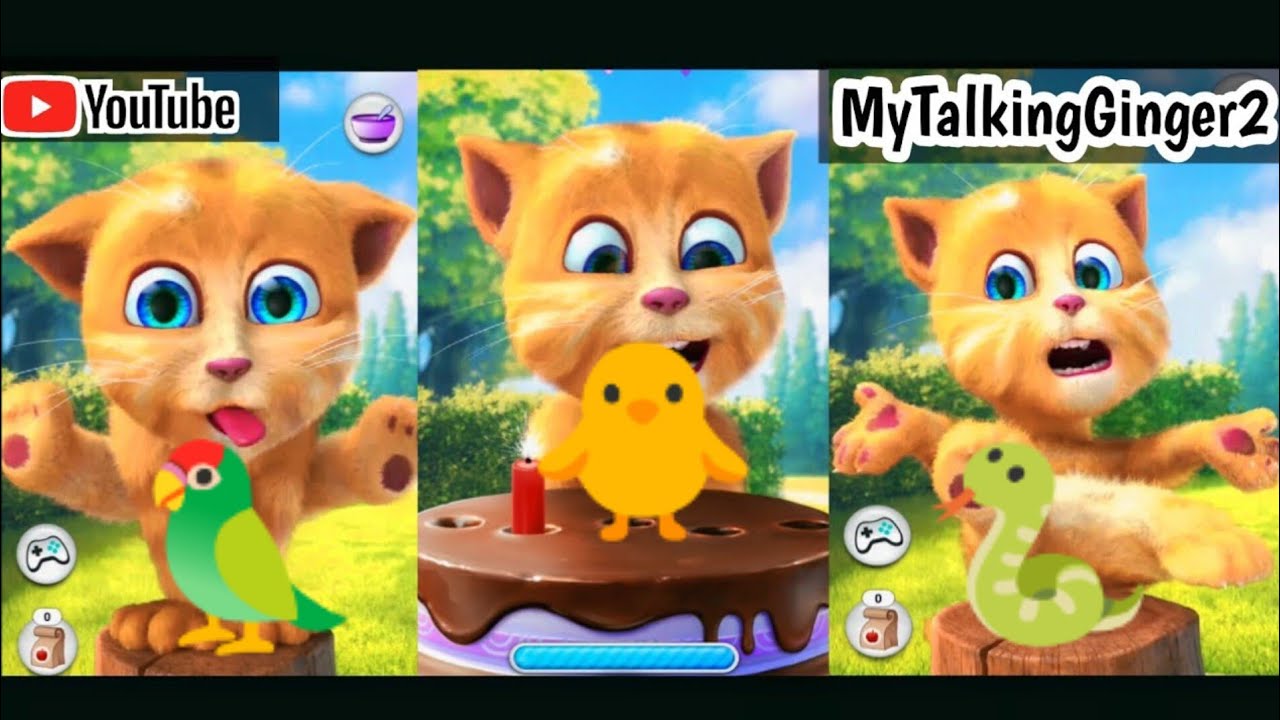 Talking Tom For Kids | Talking Ginger For Kids #Kid'sTom - YouTube