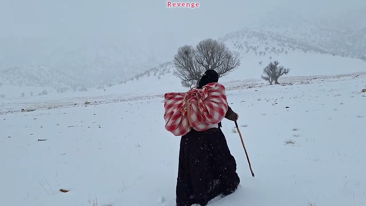 Through Wind and Snow: A Mother's Perseverance in a Storm to Find ...