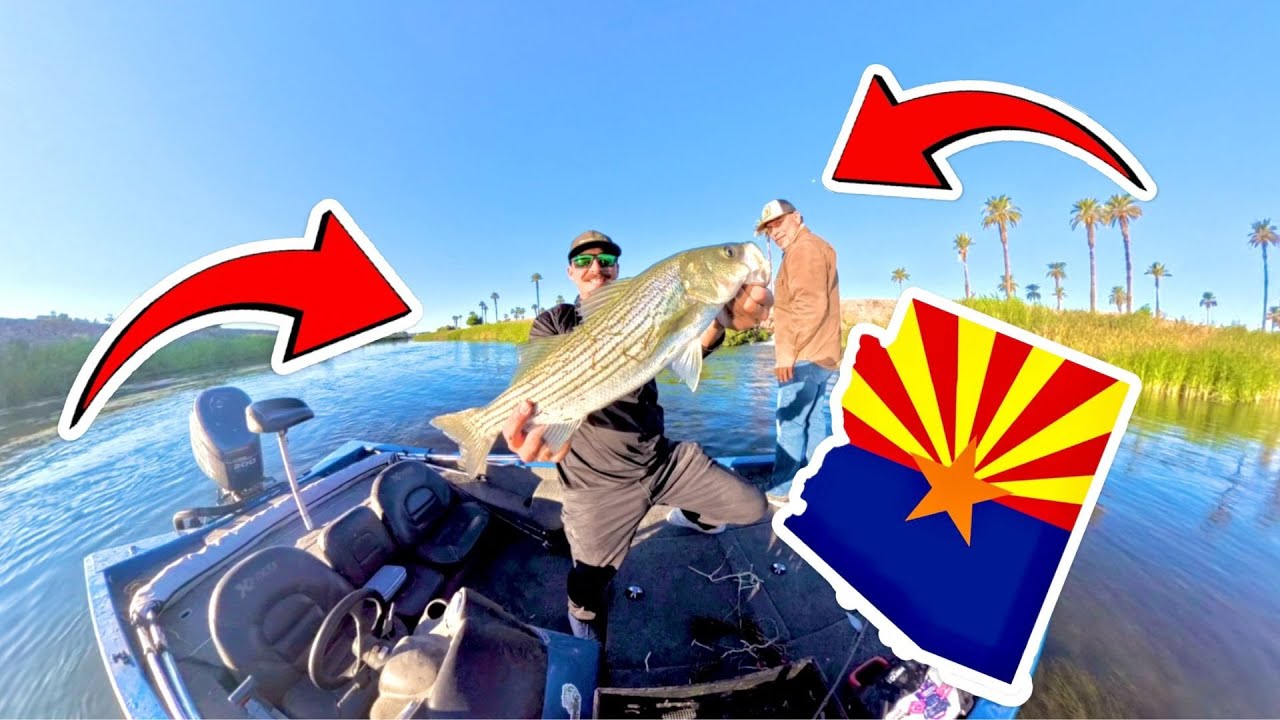EXTREMELY Shallow River Holds GIANT Fish in Arizona - YouTube