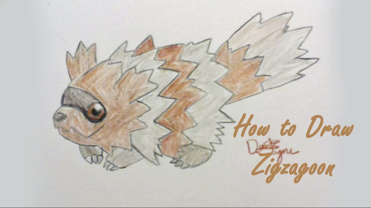 Zigzagoon Speed Drawing - YouTube
