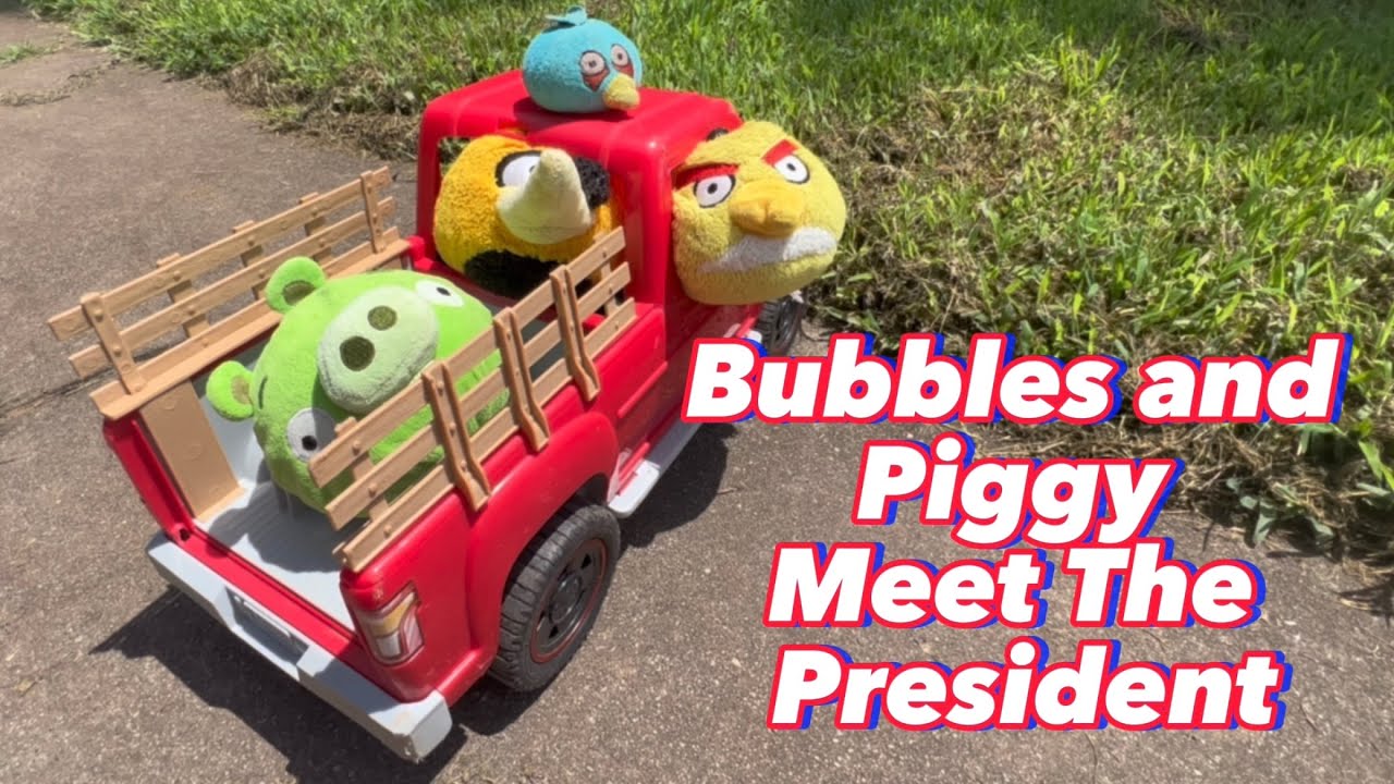 Bubbles and Piggy Meet The President - YouTube