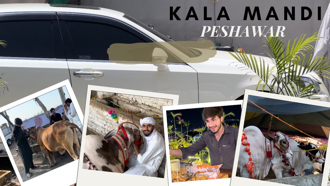 MANDI MAY GAAYE BAKRAY KO BHAGA KAY LAY GAYE😂 | KALA MANDI, SAIFAN ...