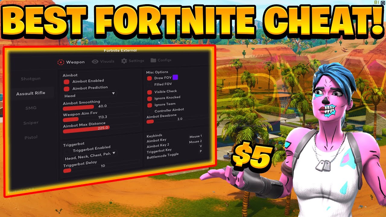 Using 5$ Fortnite Cheats In Unreal 🎯 | skreech.gg cheats - YouTube