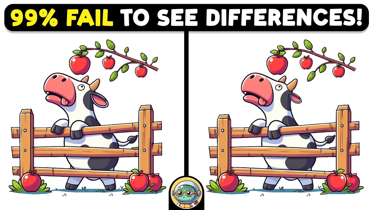 🧩 Spot the Difference | Find the Fun Differences 🐢 - YouTube