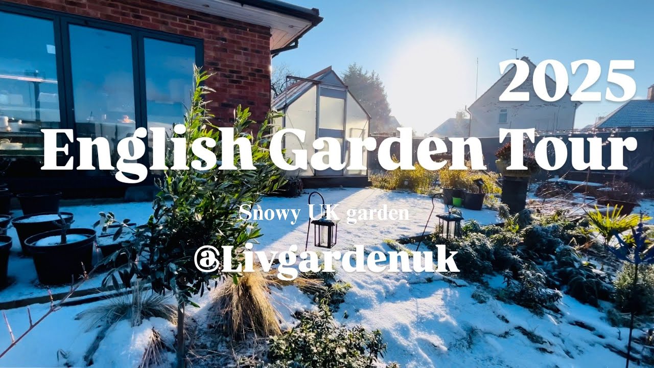 January Garden Tour | Snowy UK Garden in Winter - YouTube