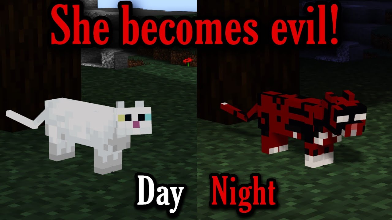 If your cat starts killing other mobs, Leave your world! (Minecraft ...