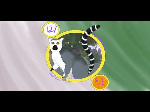 Ring tailed Lemurs, A Planet Zoo Experience