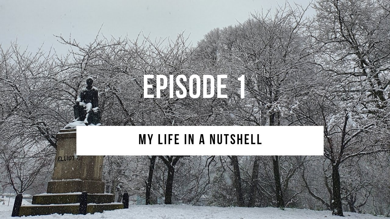 introduction - my life in a nutshell as an international student in the ...