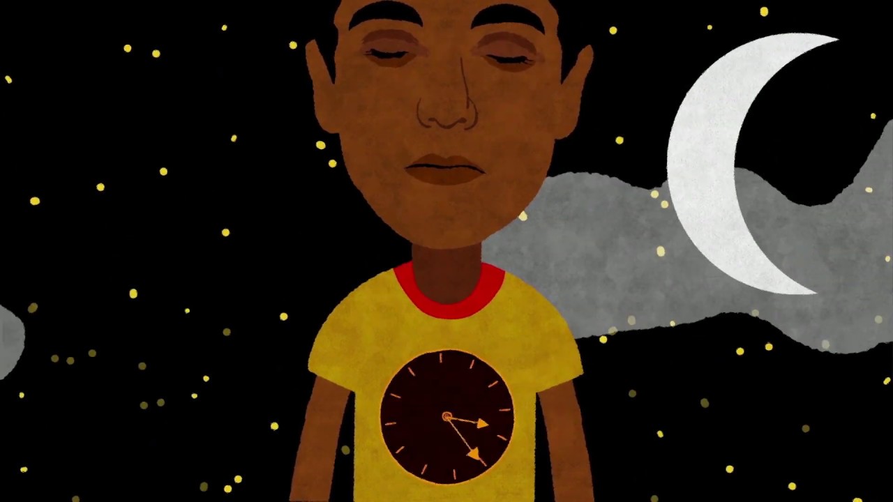 Circadian Rhythm: Animation by Rebecca Hendin for BBC What's New - YouTube