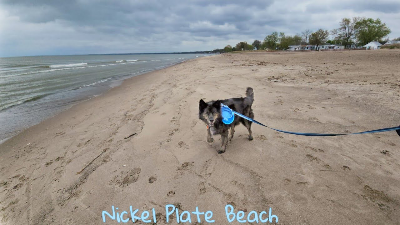 The Sandiest Lake Erie Beach?! Nickel Plate Beach - YouTube