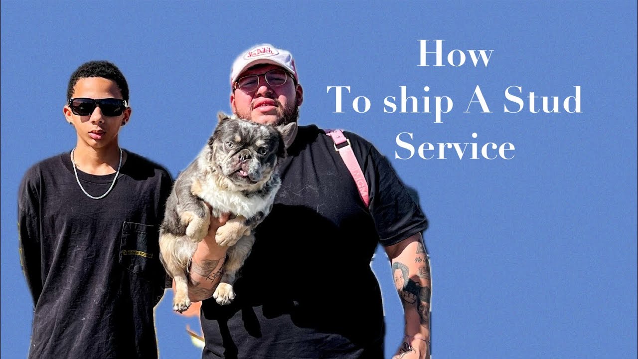 How to ship a stud service - YouTube